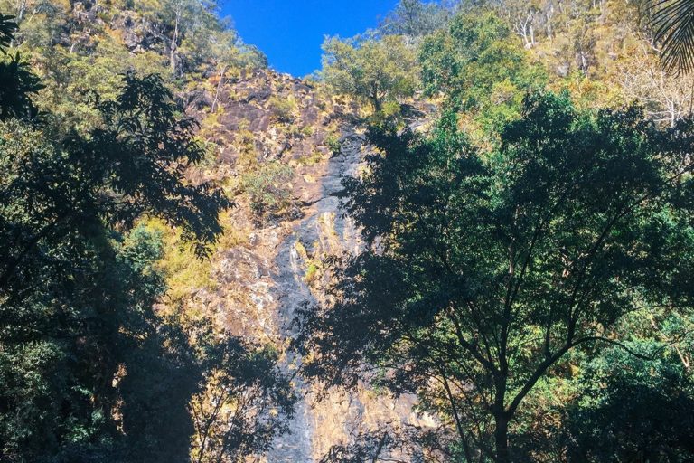 Visiter le parc national Springbrook dans le Queensland - La Poze ...