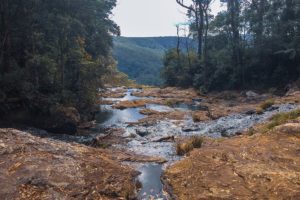 Visiter le parc national Springbrook dans le Queensland - La Poze ...