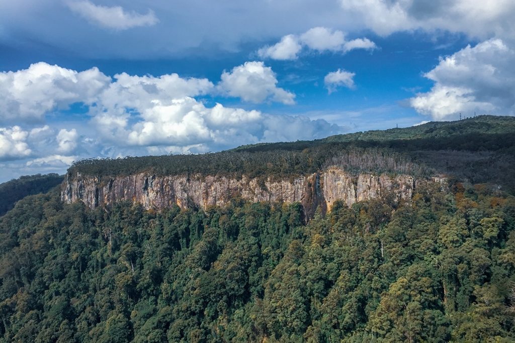 Visiter le parc national Springbrook dans le Queensland - La Poze ...