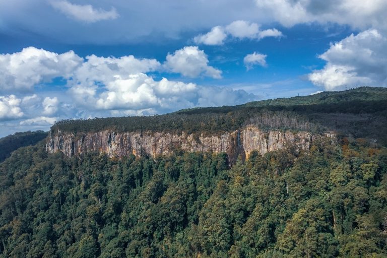 Visiter le parc national Springbrook dans le Queensland - La Poze ...