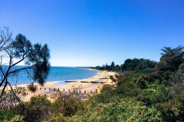 Visiter Phillip Island en 6 incontournables dans le Victoria - La Poze ...