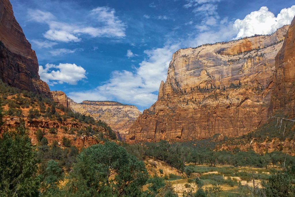 Nos incontournables pour visiter le parc national Zion - La Poze | Blog ...