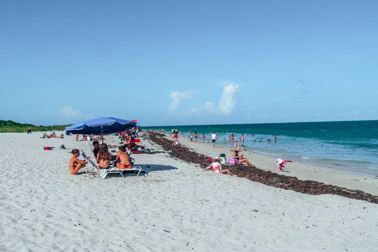 Roadtrip en Floride : nos incontournables en 3 jours - La Poze | Blog ...