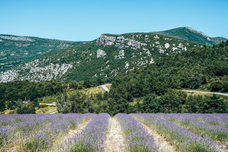 Baronnies Provençales, roadtrip dans la Drôme (incontournables) - La ...