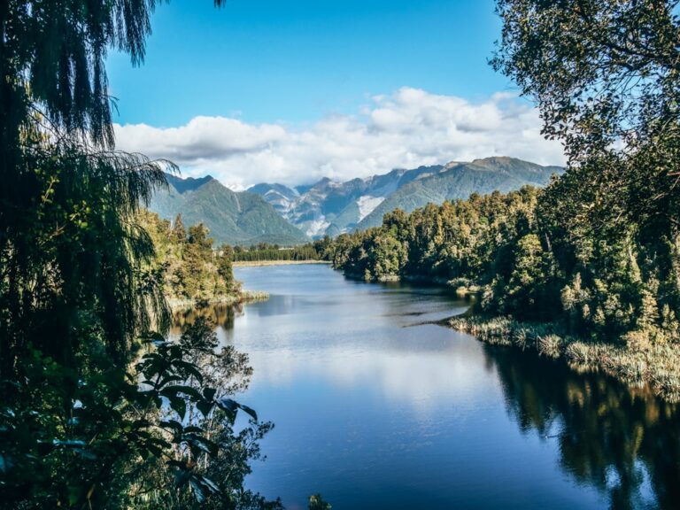 Nos incontournables pour visiter Wanaka en Nouvelle Zélande - La Poze ...