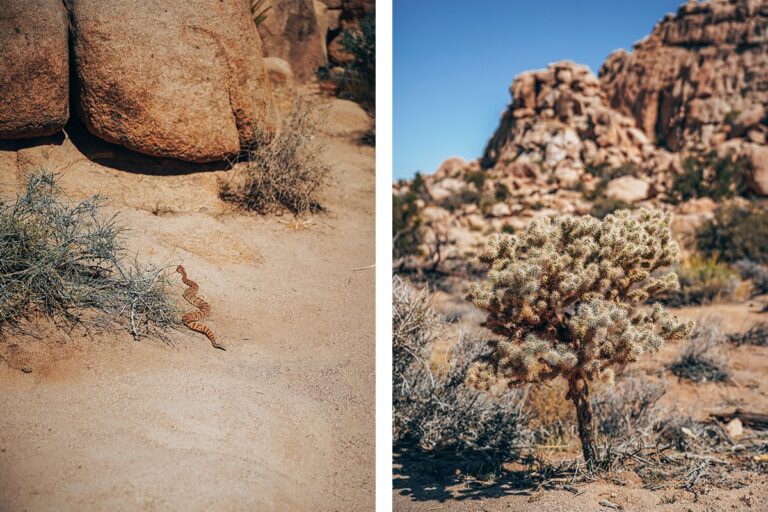 Californie : notre roadtrip en 22 incontournables - La Poze | Blog ...