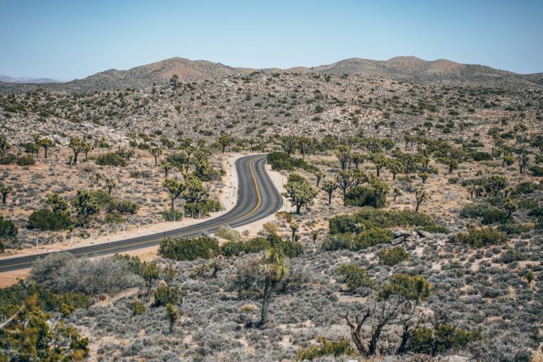 Californie : notre roadtrip en 22 incontournables - La Poze | Blog ...