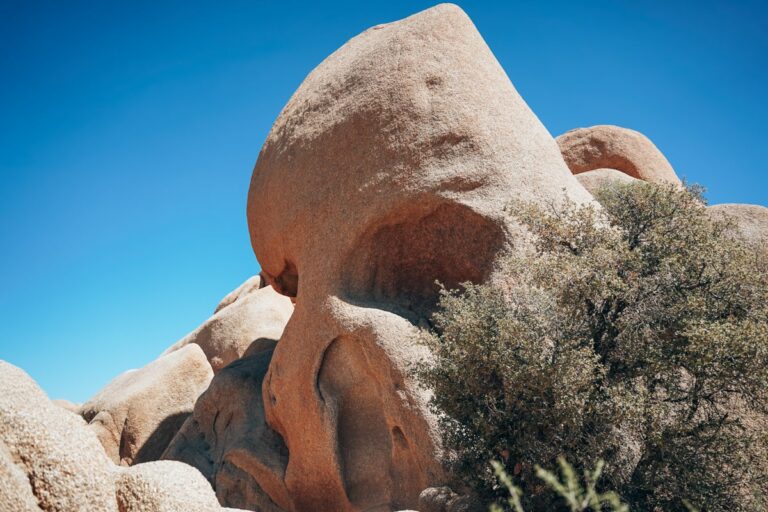 Visiter le parc national Joshua Tree (nos incontournables) - La Poze ...